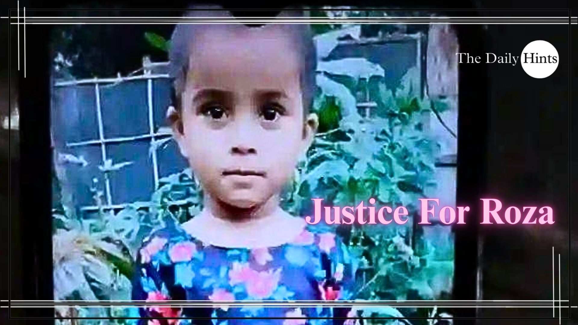 The Daily Hints | Get Daily Latest News Update